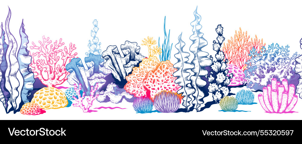 Coral reef pattern sea water tropical border red Vector Image