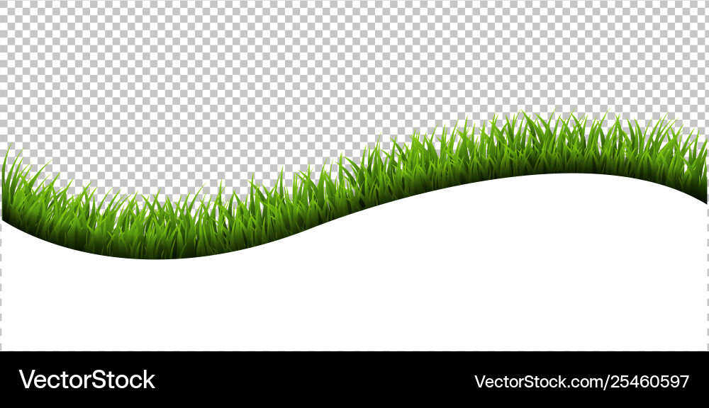 Grass frame isolated transparent background Vector Image
