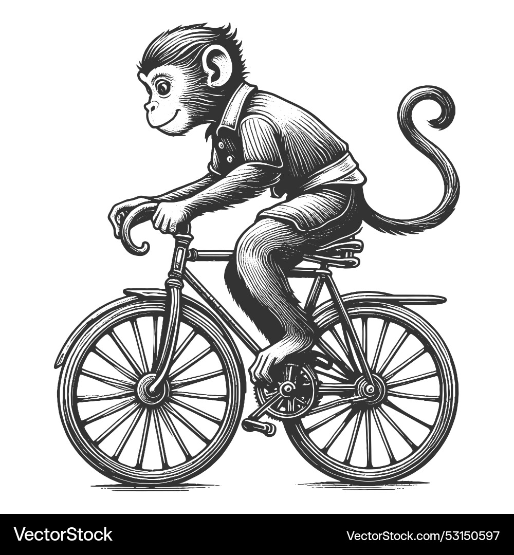 Monkey riding bicycle Royalty Free Vector Image
