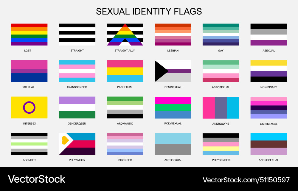 Sexual diversity lgbt pride flags rainbow banners Vector Image