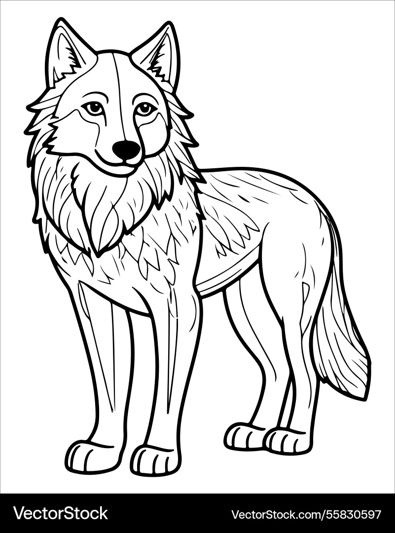 Wolf head coloring page for kids Royalty Free Vector Image