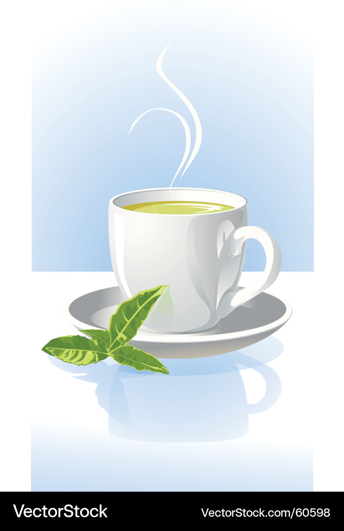 Cup of green tea Royalty Free Vector Image - VectorStock
