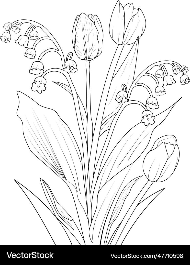 Tulips drawing aesthetic cute Royalty Free Vector Image