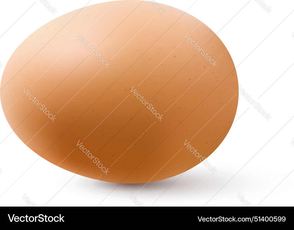 Chicken egg Royalty Free Vector Image - VectorStock