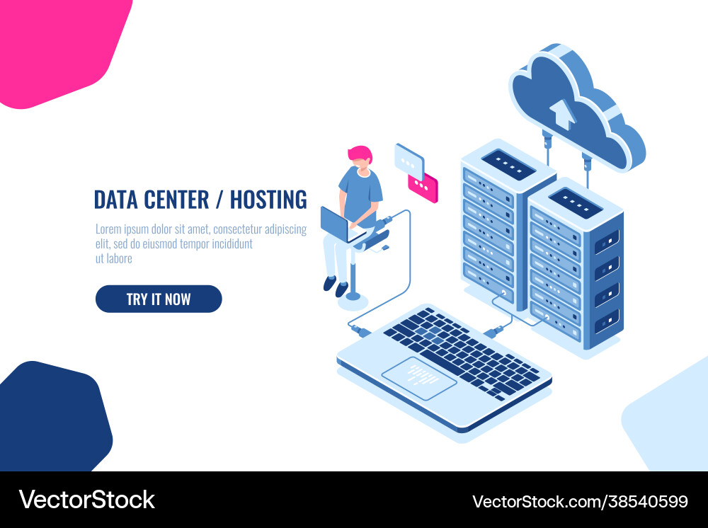 Data calculation and auditing isometric engineer Vector Image