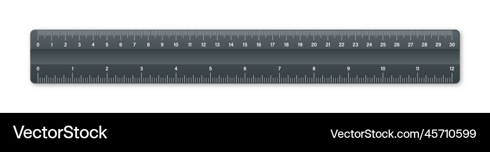 Realistic plastic ruler with measurement scale Vector Image