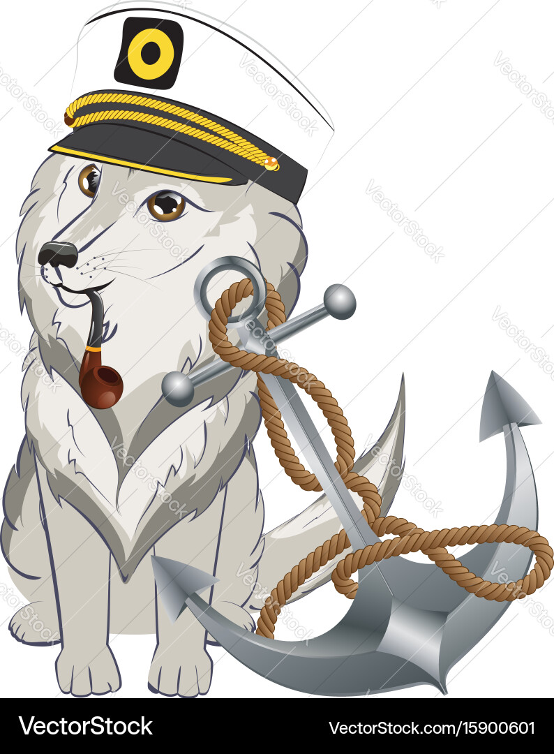 Captain wolf Royalty Free Vector Image - VectorStock