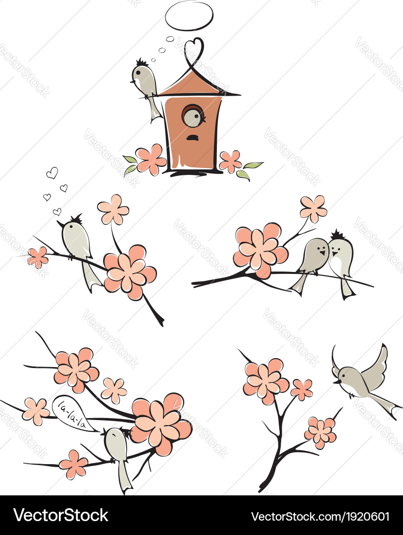 Spring birds Royalty Free Vector Image - VectorStock
