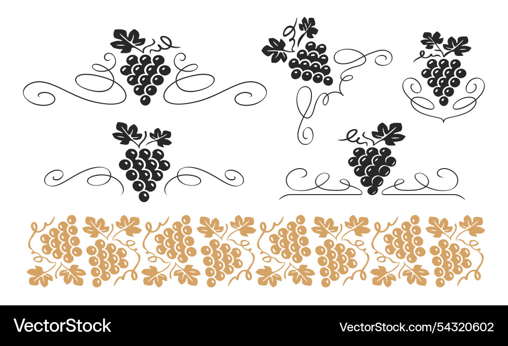 Grape concept vine pattern Royalty Free Vector Image