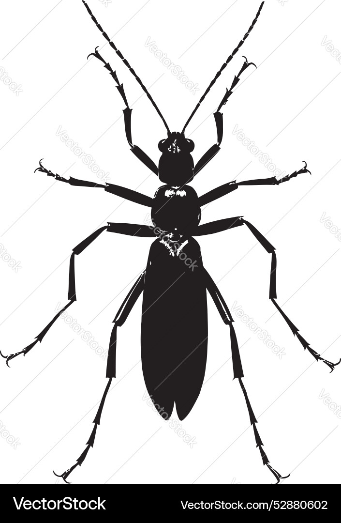 Insect exploration stylish monochrome bug art Vector Image