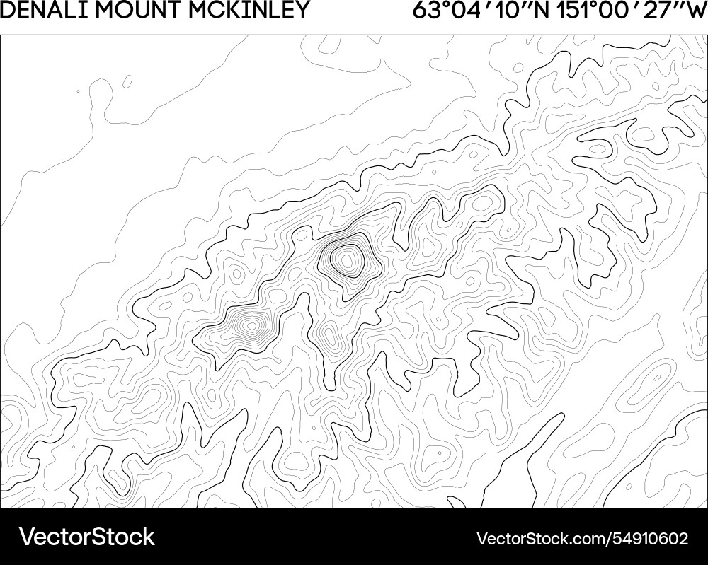 Topographic map of denali mount mckinley Vector Image