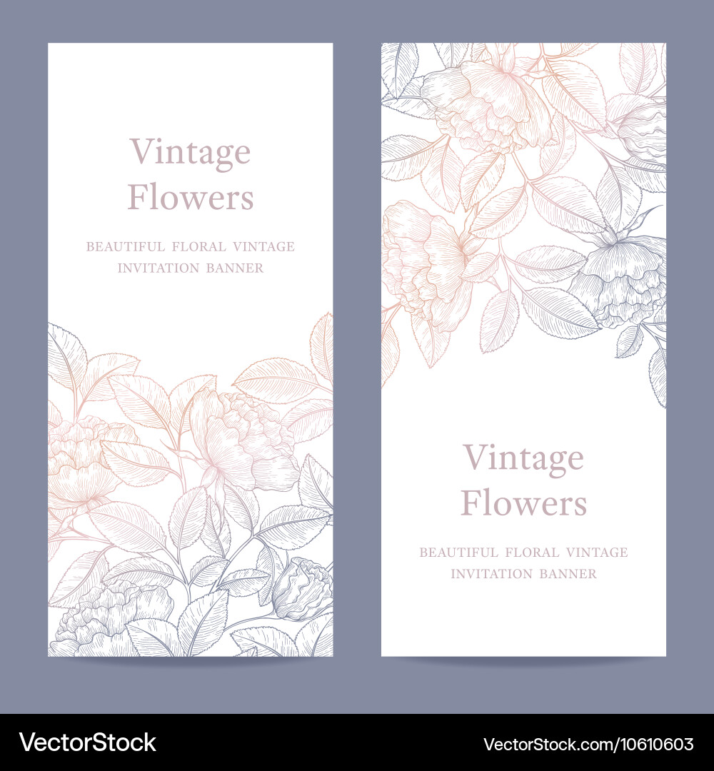 Floral Rose Banner Royalty Free Vector Image - VectorStock