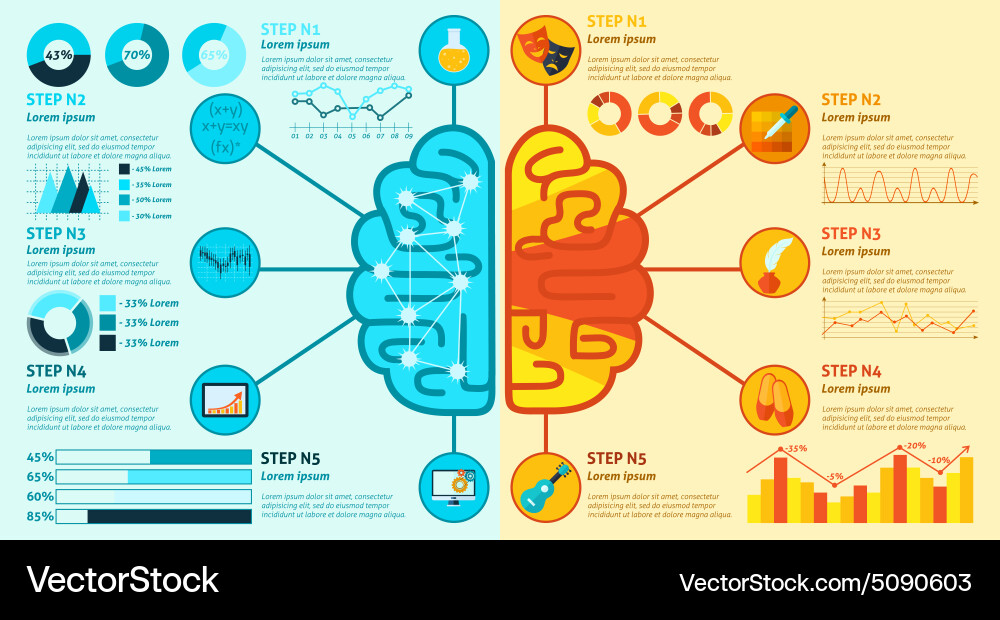 Left and right brain infographics Royalty Free Vector Image