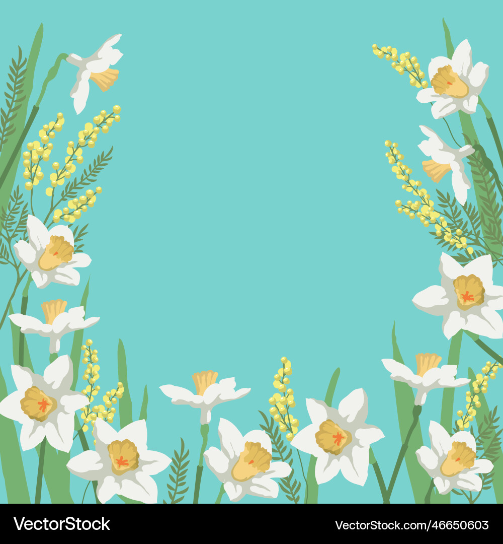 Spring banner with daffodils flowers background Vector Image