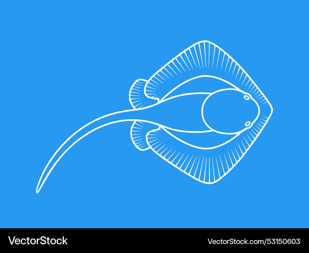 Stingray Royalty Free Vector Image - VectorStock