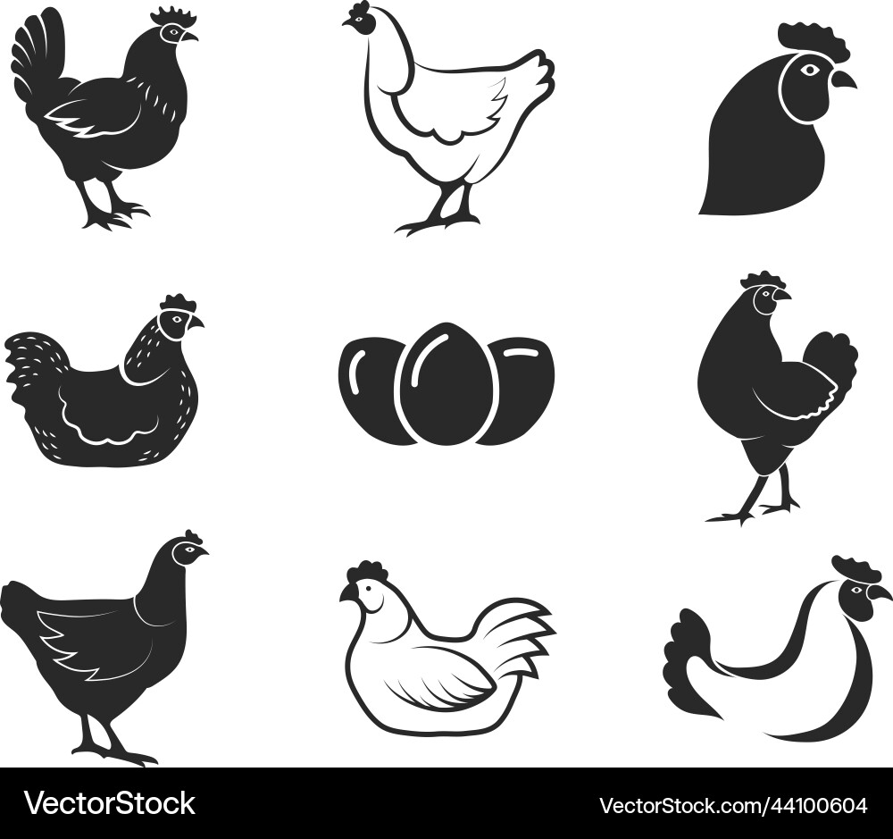 Chicken logo elements healthy organic chickens Vector Image