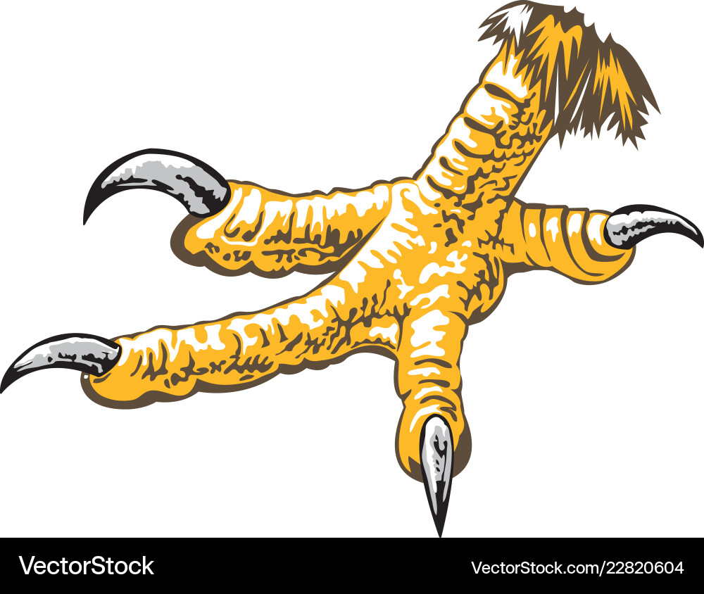 Eagle talon logo Royalty Free Vector Image - VectorStock