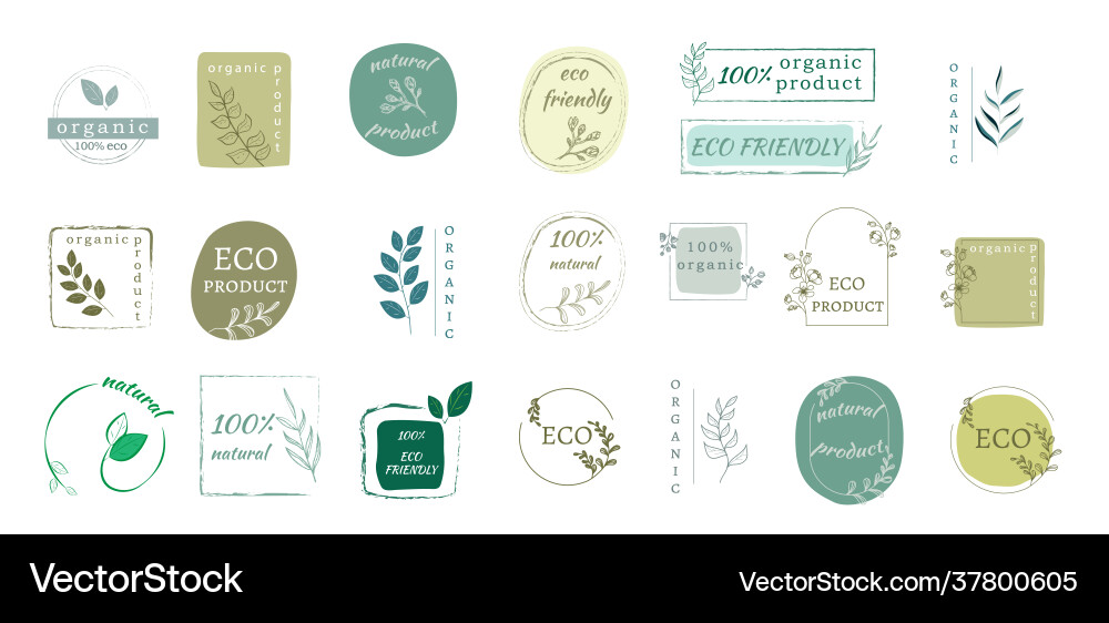 Eco Royalty Free Vector Image - VectorStock
