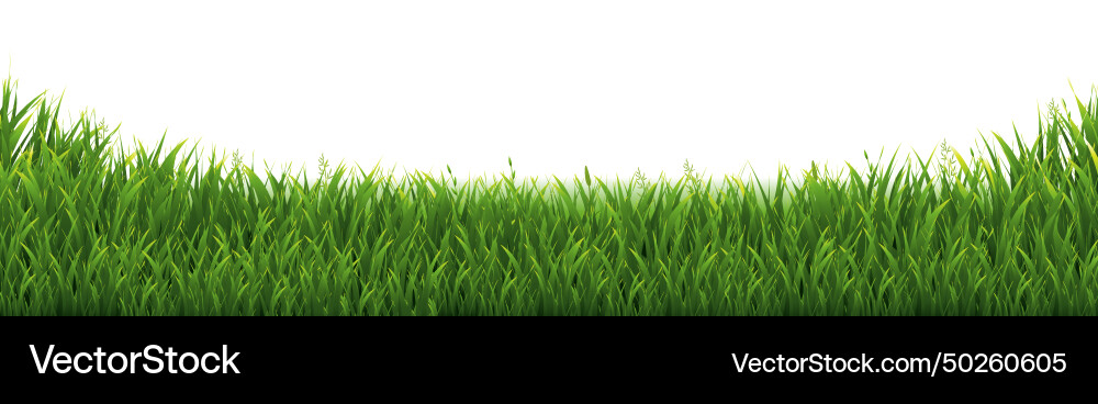 Green grass frame and white background Royalty Free Vector