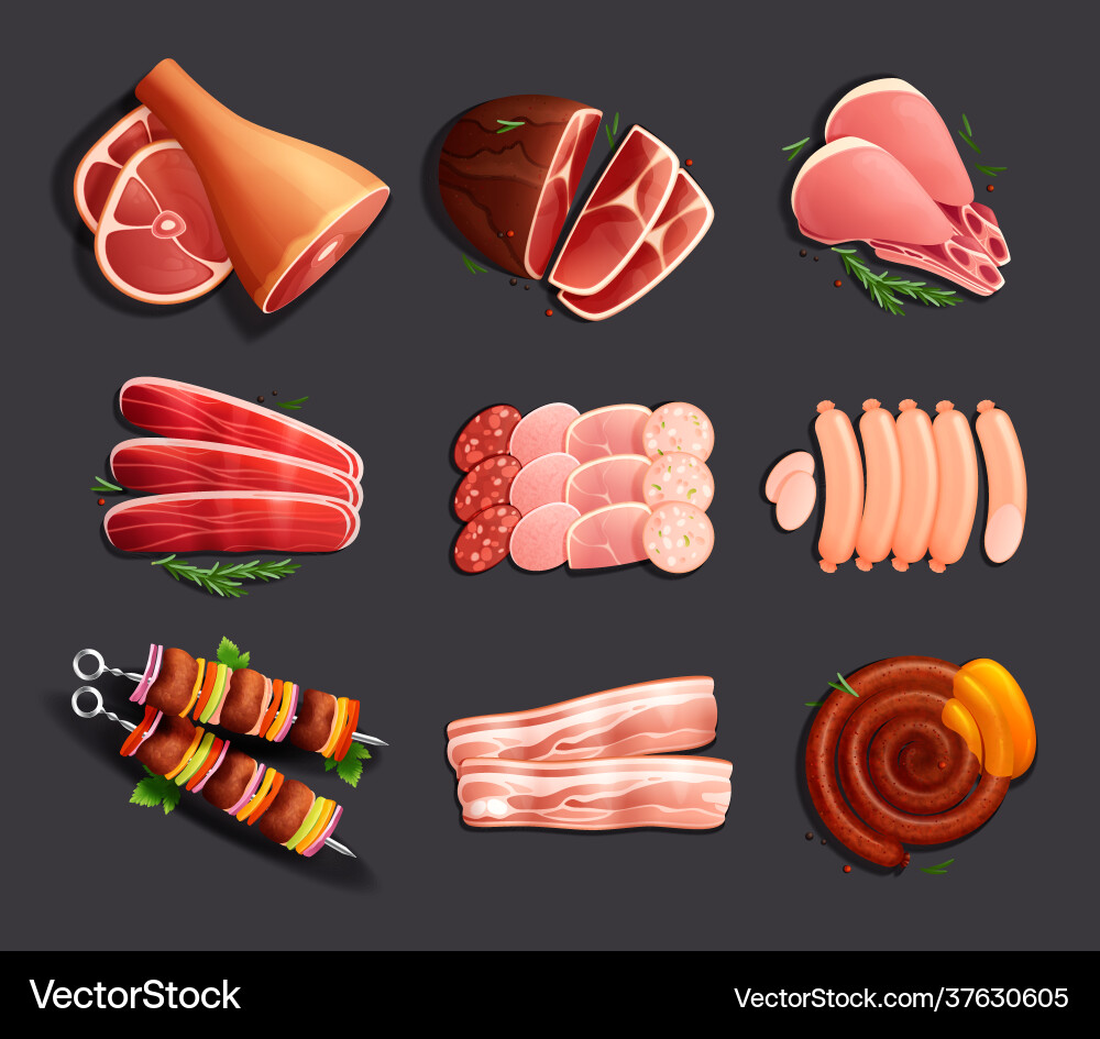 Meat products icon set Royalty Free Vector Image