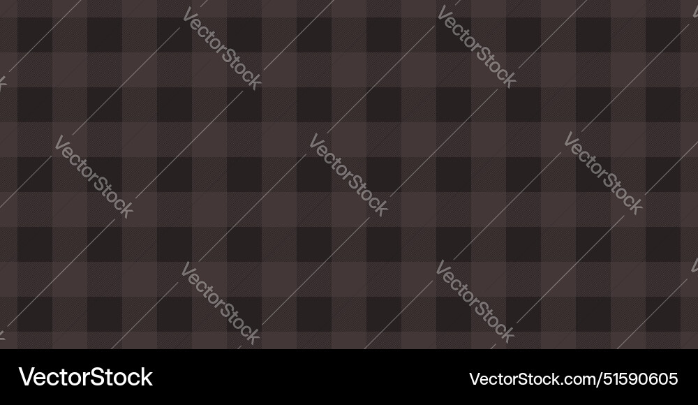 Multicultural check pattern texture attire fabric Vector Image