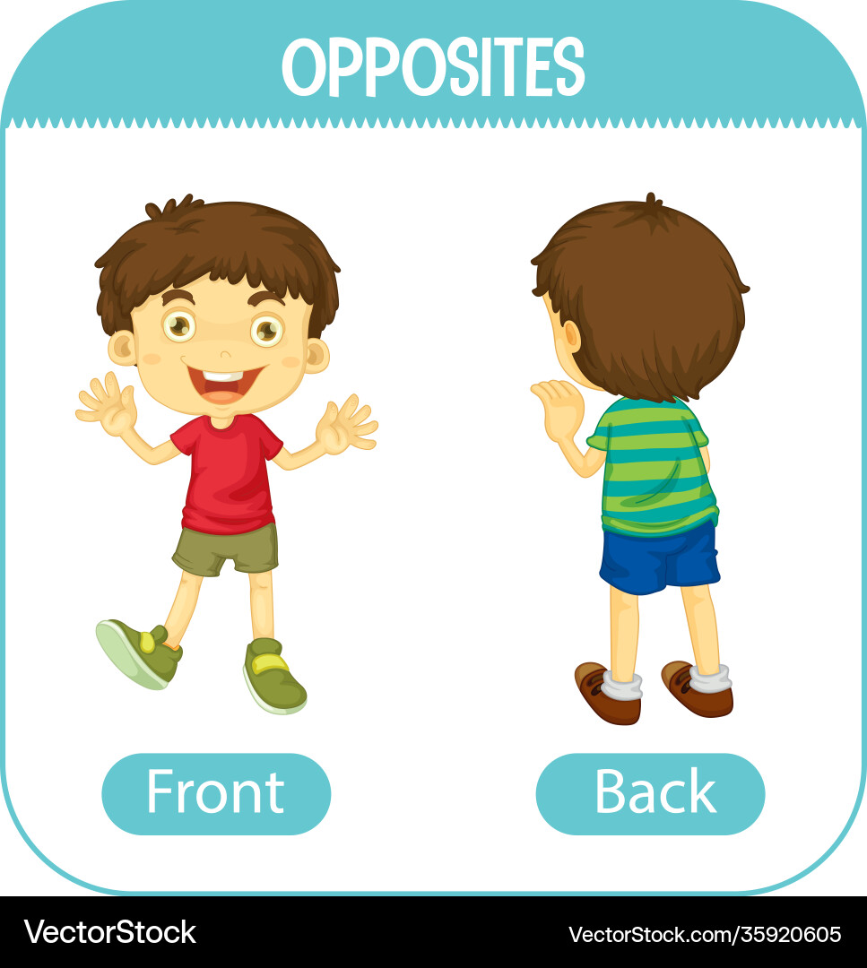 Opposite words with front and back Royalty Free Vector Image