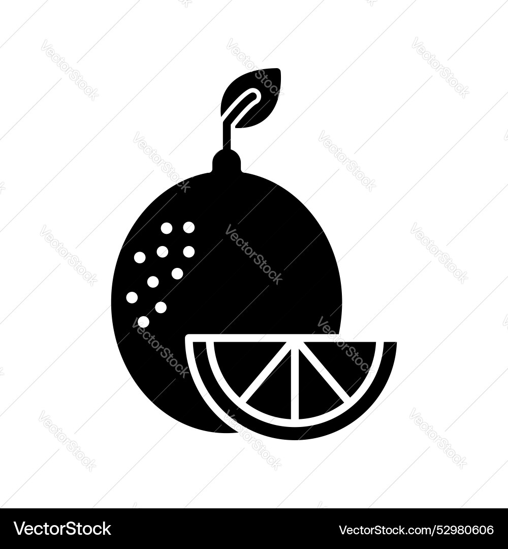 Citrus fruit icon set orange Royalty Free Vector Image