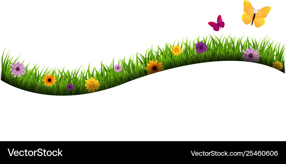Green grass and flowers Royalty Free Vector Image