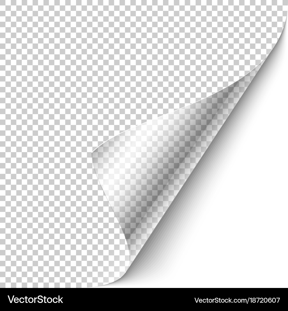 Curled corner with shadow on transparent Vector Image