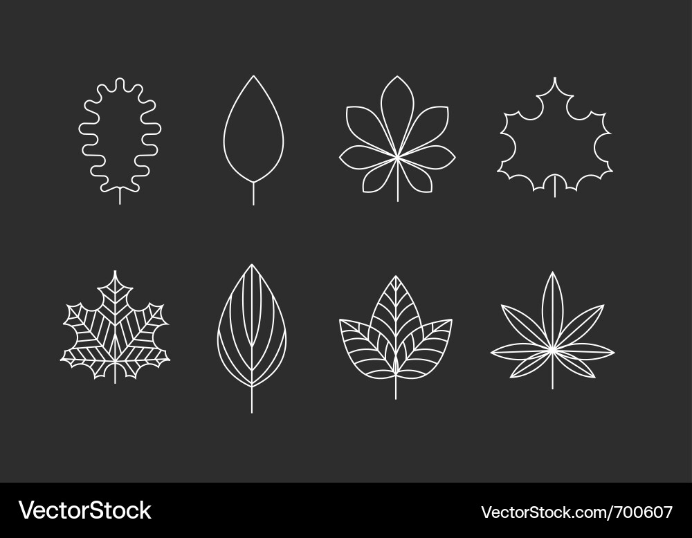 Outlined leaves icons Royalty Free Vector Image