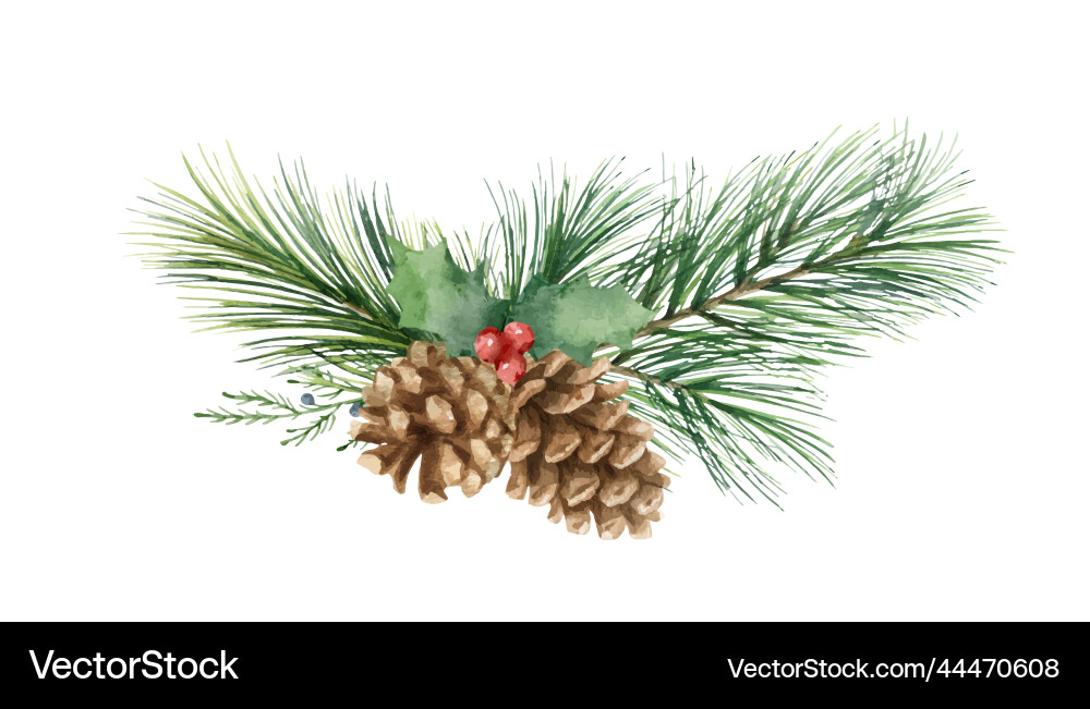 Watercolor Christmas Pine Arrangement Royalty Free Vector