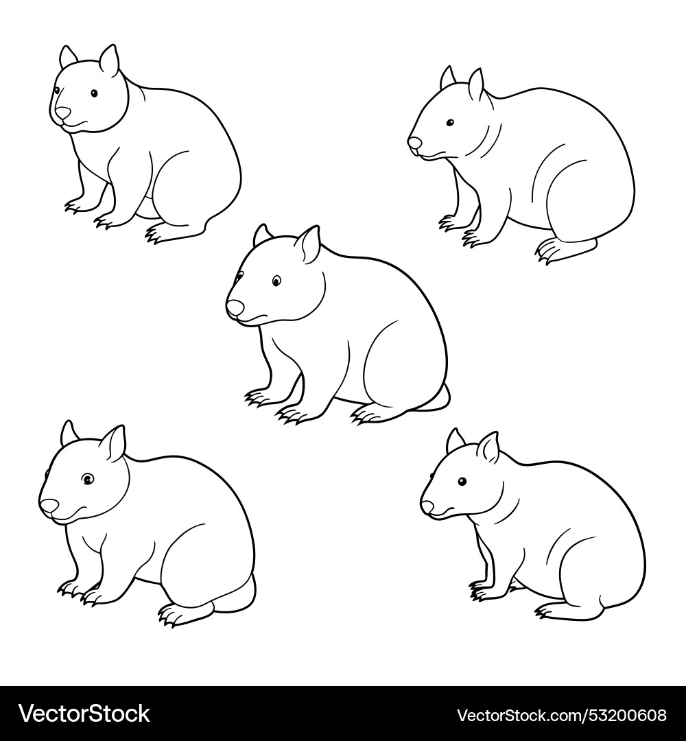 Wombat sitting line art Royalty Free Vector Image
