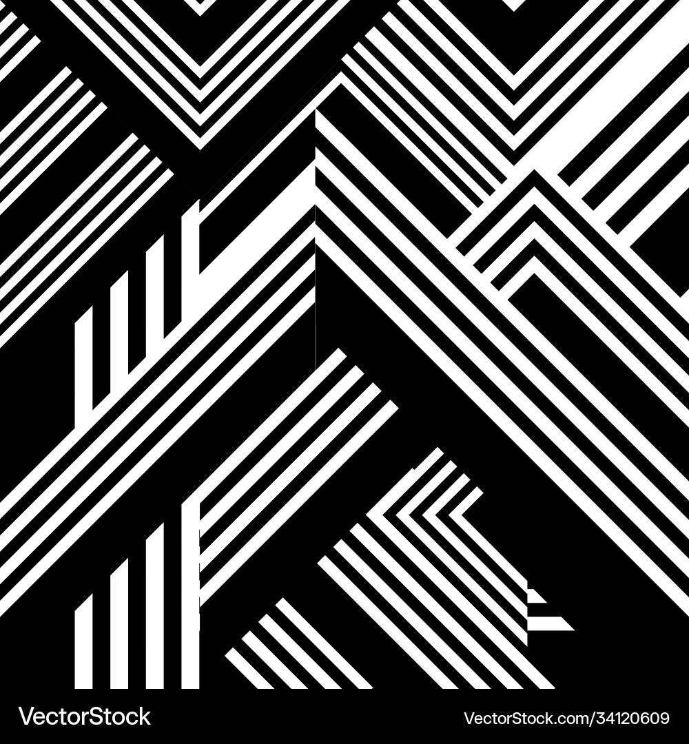 Abstract pattern with black white striped lines Vector Image