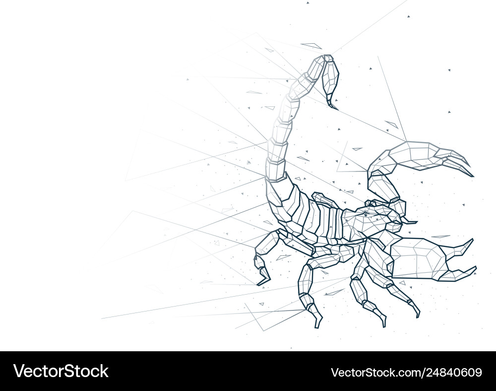 Abstract scorpion low poly wireframe Royalty Free Vector
