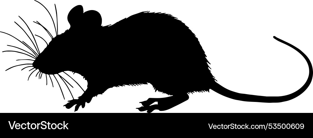 Silhouette of a rat or mouse Royalty Free Vector Image