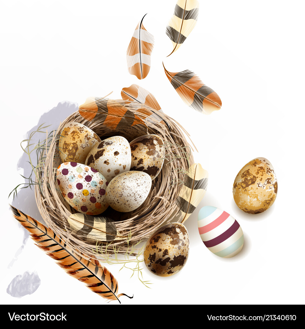 Easter Bird Nest with Eggs Royalty Free Vector Image