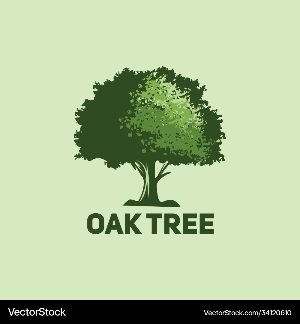 Oak tree logo design Royalty Free Vector Image