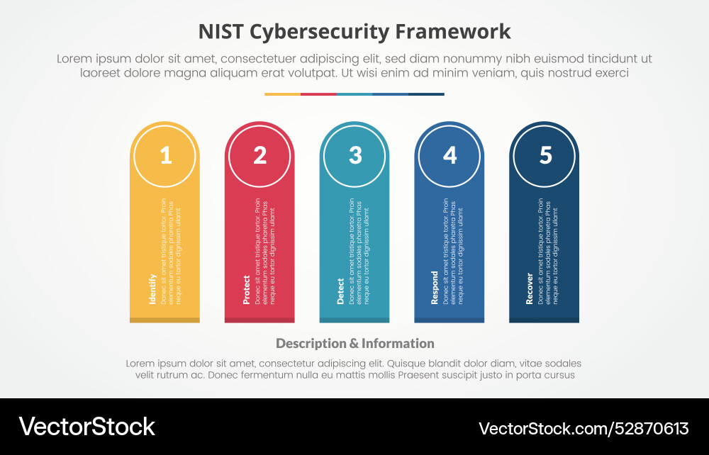 Nist cybersecurity framework infographic concept Vector Image