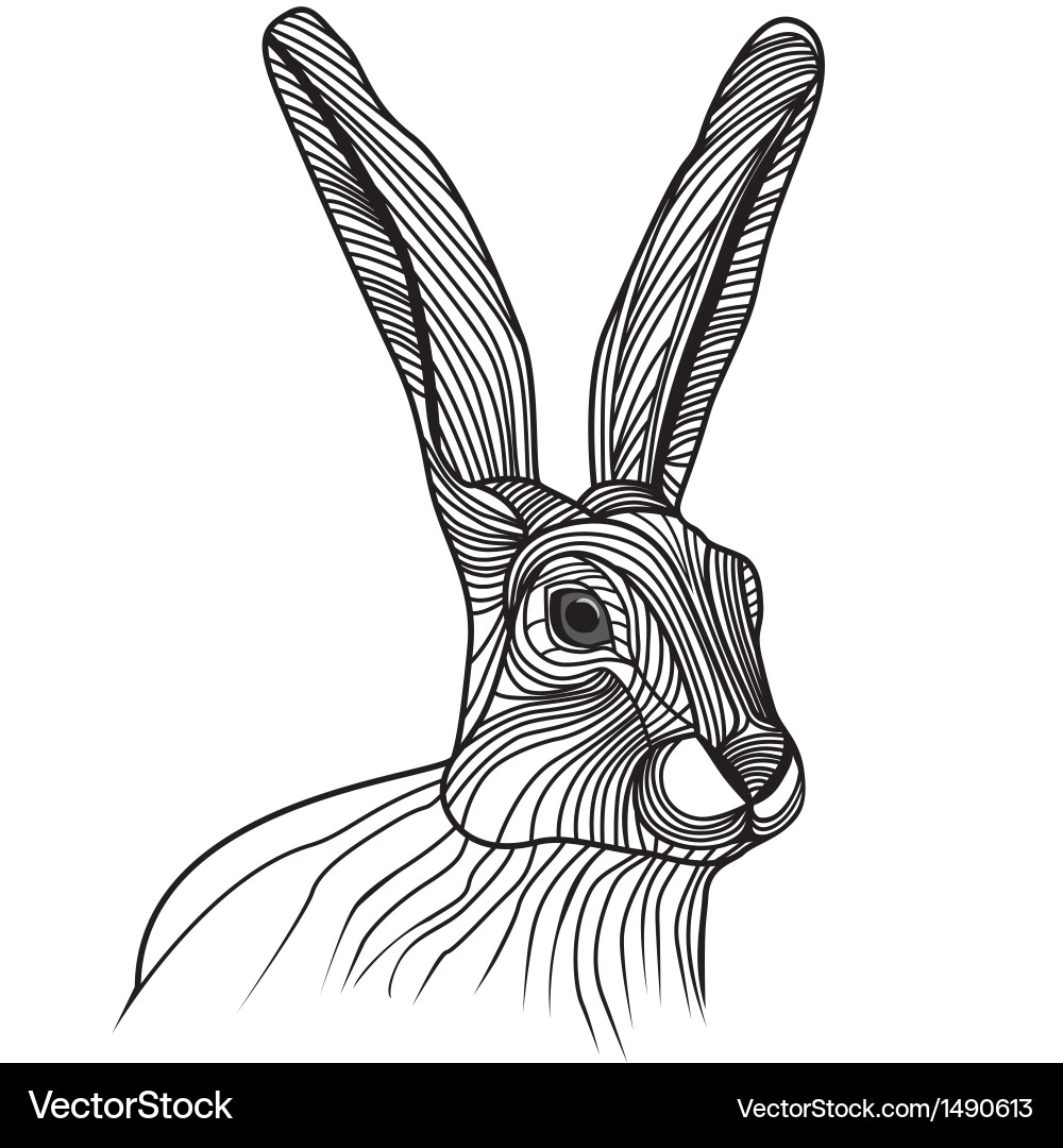 Rabbit or hare head animal Royalty Free Vector Image