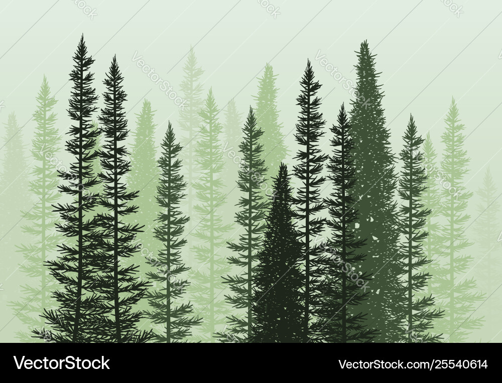Forest background Royalty Free Vector Image - VectorStock