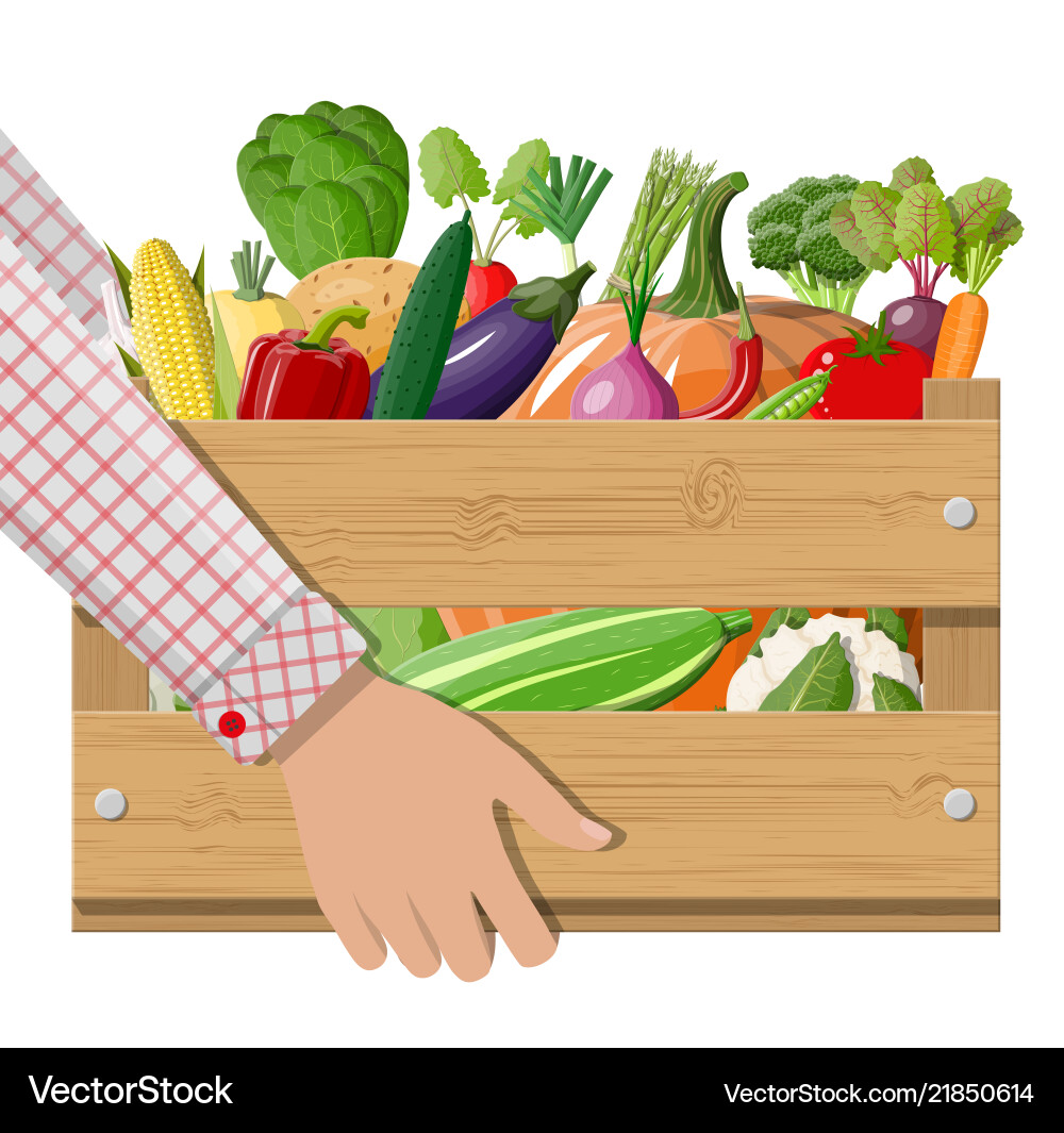 Fresh Vegetable Box in Hand Royalty Free Vector Image