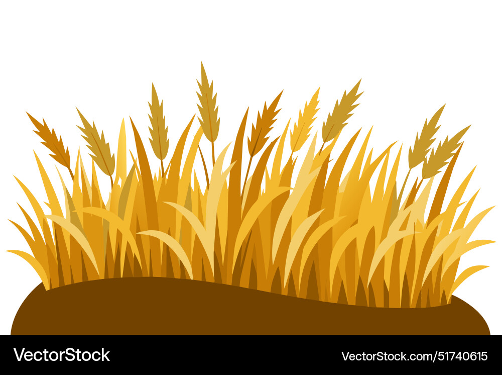 Cutout dried grass meadows savanna field flat Vector Image
