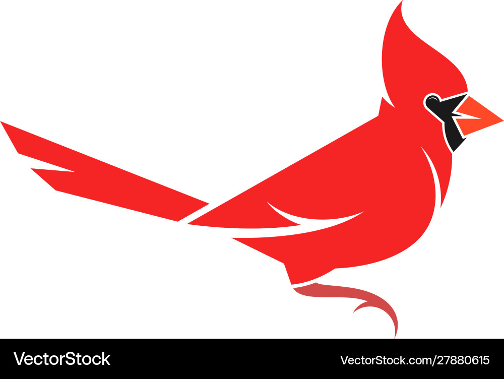 Northern cardinal Royalty Free Vector Image - VectorStock