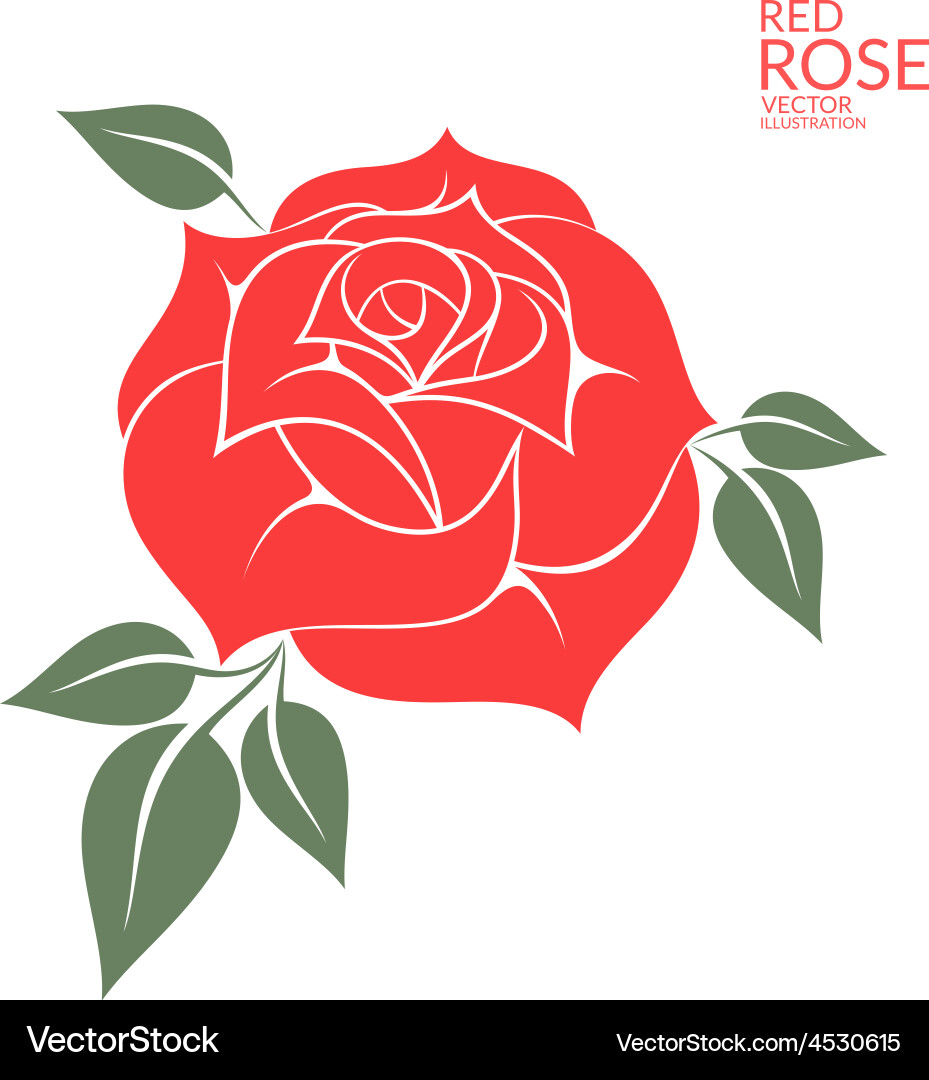 Red rose Royalty Free Vector Image - VectorStock