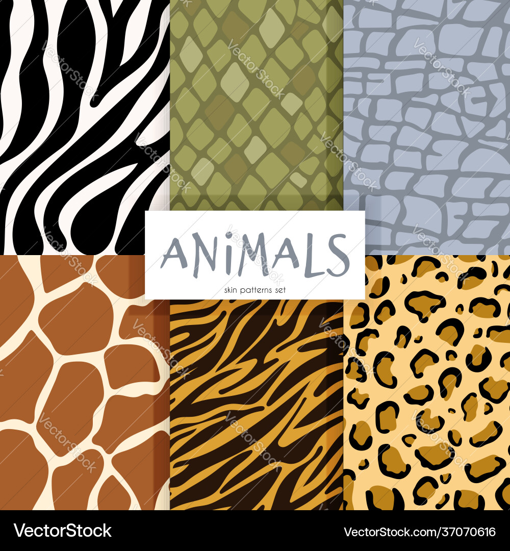 Animals skin patterns set handdrawn Royalty Free Vector