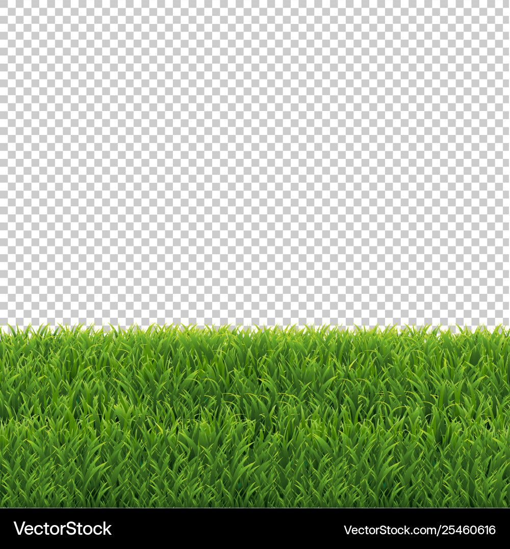 Green Grass Border Royalty Free Vector Image - VectorStock