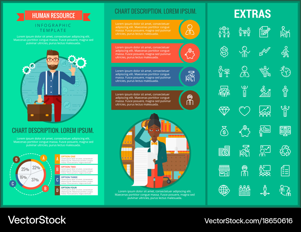 Human resource infographic template and elements Vector Image