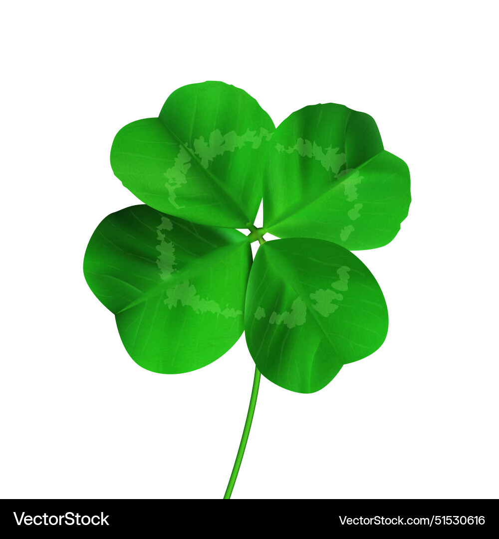 Lucky shamrock leaf realistic 3d isolated four Vector Image