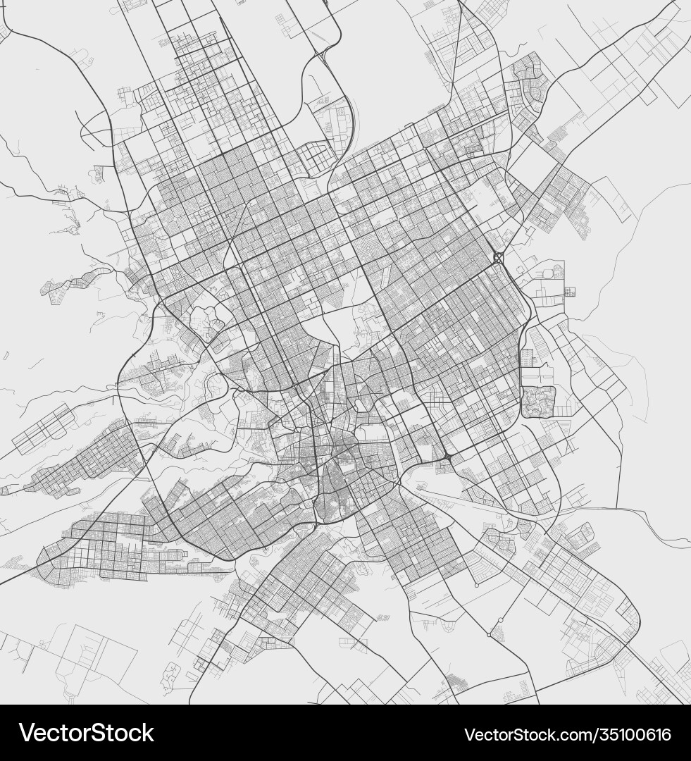 Riyadh City Map - Grayscale Street Plan Royalty Free Vector