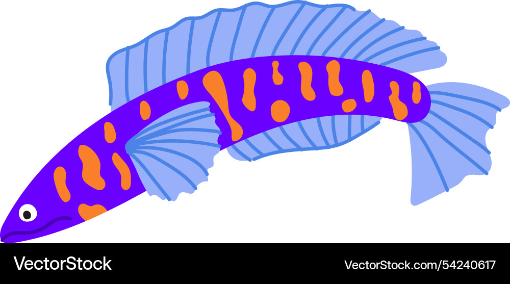 Betta exotic fish cartoon Royalty Free Vector Image